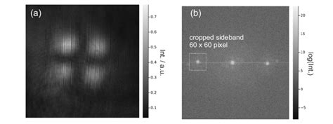 Interferometry To Characterize The Light Field Shaped By The Mode