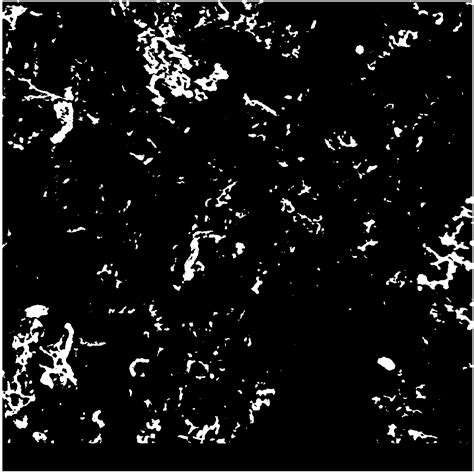 Preparation Method Of N Doped Carbon Nanotubenickel Cobalt Oxiden