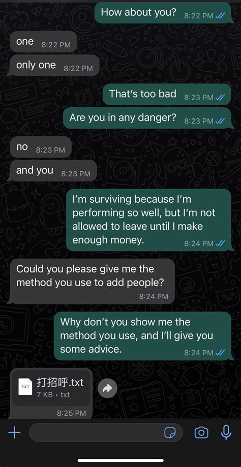 Scammer Sent Me Their Entire Script Translations At The End Re Upload Rscambait