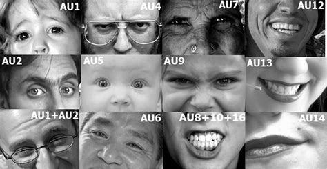 Action Units · Tadasbaltrusaitisopenface Wiki · Github