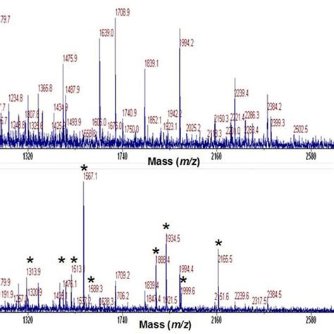 Representative Peptide Mass Fingerprint Data Spot 1809 A Download Scientific Diagram
