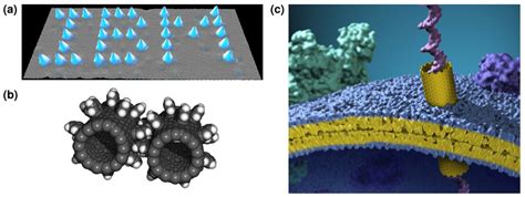 1 Nanotechnology Applications A Ibm Researchers Could Reproduce The Download Scientific