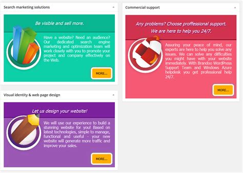 Recenzja Brandoo Wordpress Wpsamuraipl