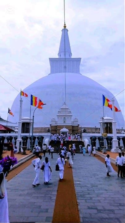 භාග්‍යවතුන් වහන්සේ උදෙසා පිදෙන සුගත චීවරය 🙏💯☸ Srilanka Budddha Budhism Youtube