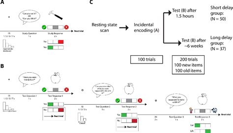 Figure 1 From Decoupling Of Large Scale Brain Networks Supports The