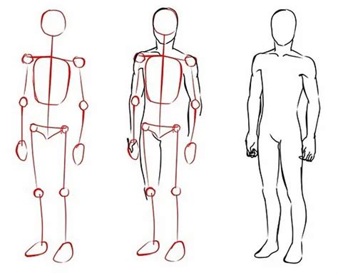 ️ 20 Ejercicios De Dibujo Para Aprender Paso A Paso Crehana