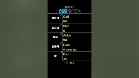 신체 영어단어 9 한눈에 암기 영어단어 기초영단어 Youtube