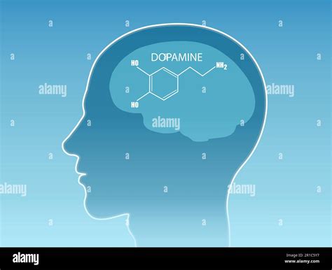 Vector Of A Chemical Formula Of The Hormone Dopamine Inside Human Brain Stock Vector Image And Art