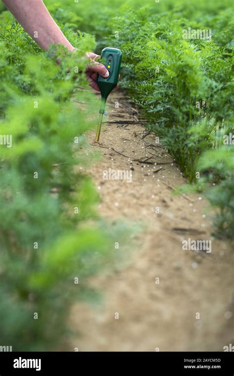 Measure Soil With Digital Device Green Plants And Woman Farmer Measure PH And Moisture In The