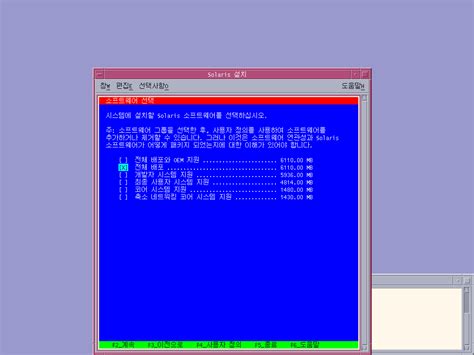 Solaris 10 U9 Zfs 설치 데스크탑세션 윈디하나의 솔라나라