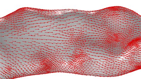 Tangential Vector Field T Obtained From The Centerline By The
