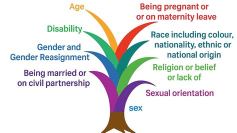 What Is Equality Impact Assessment