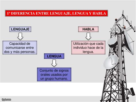 Diferencias Entre Lenguaje Lengua Y Habla