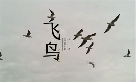 【4khires】告五人《爱人错过》mv珍藏版 开车不适合听的音乐 “相撞在街口” 无损音质 食言 音乐 哔哩哔哩视频