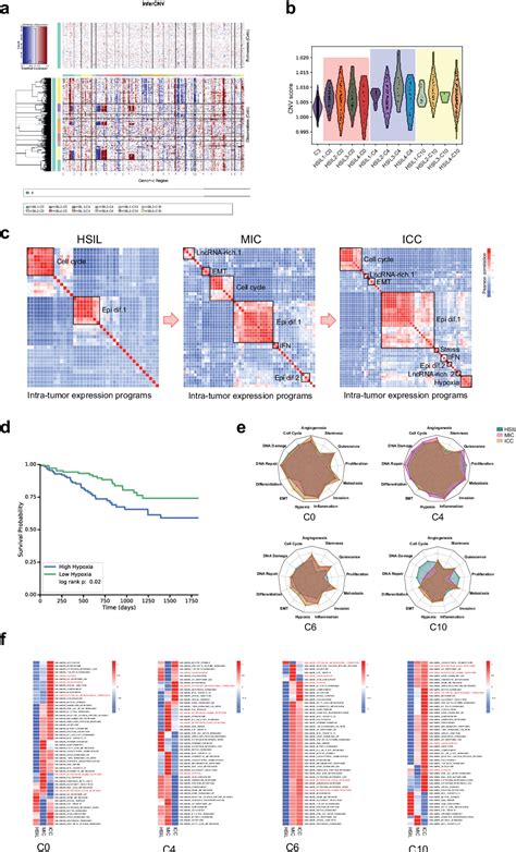Figure 5 From Identification Of Cervical Cancer Stem Cells Using Single