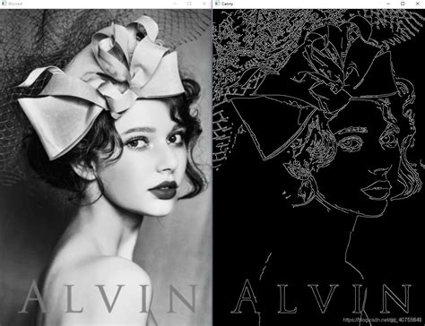 图片找到边缘后的矫正 Python Python 边缘检测抠图mob64ca13fb1f2e的技术博客51cto博客