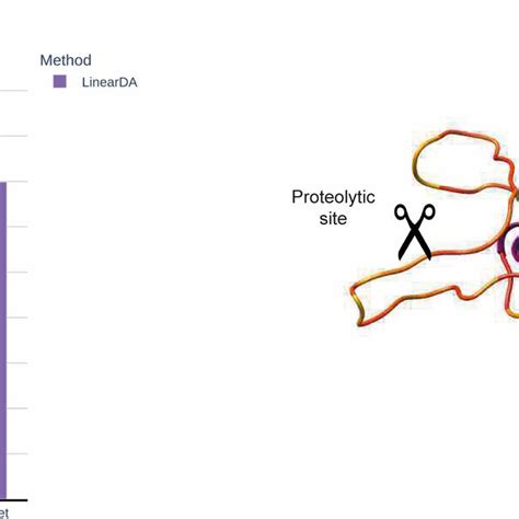 A List Of Structural Features Used In The Method Along With Examples Download Scientific
