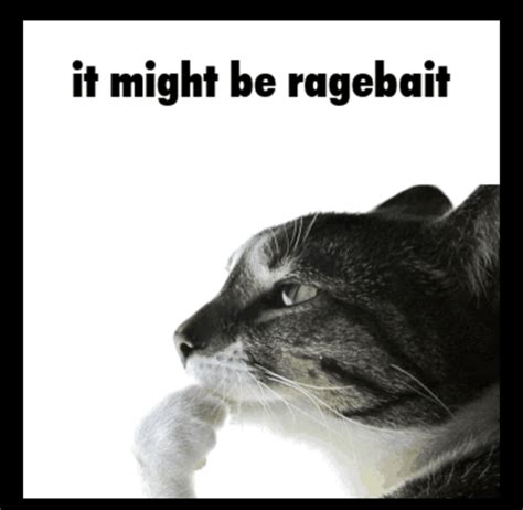 Rage Bait Meme Rage Bait Discover And Share S