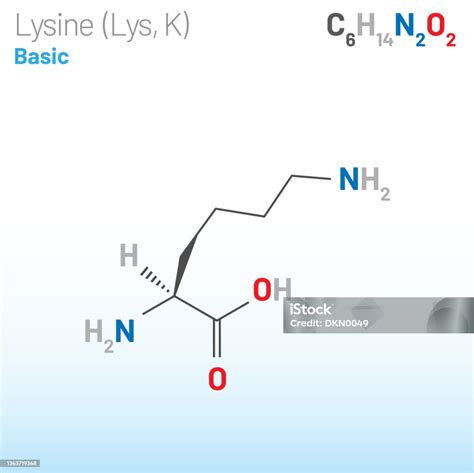 리신 0명에 대한 스톡 벡터 아트 및 기타 이미지 0명 건강관리와 의술 과학 Istock