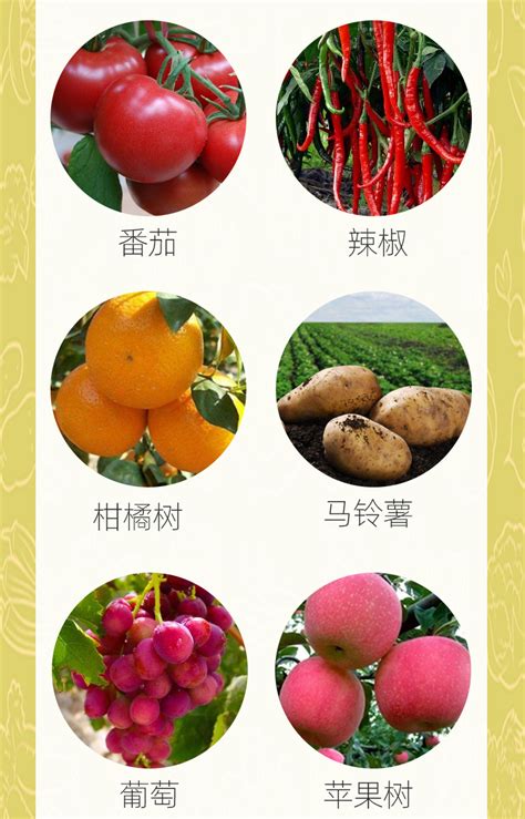 德国拜耳安泰生丙森锌葡萄果树霜霉病晚疫病农药杀菌剂25 100g虎窝淘