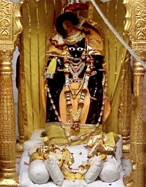 આજ સવારના રાજાધિરાજ રણછોડરાયના દર્શન ડાકોર મંદિરથી Shree Rajadhiraj