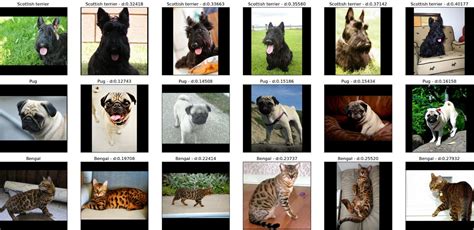 exploring siamese networks for image similarity using contrastive loss