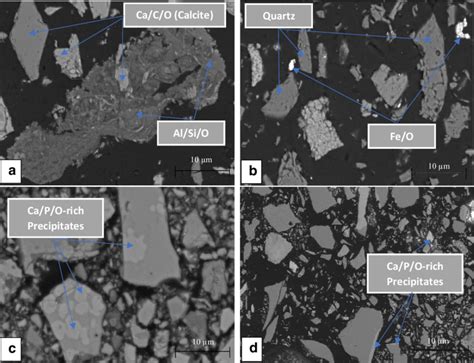 Sem Observations And Edx Analyses A Surface Of Bba R Before P Removal