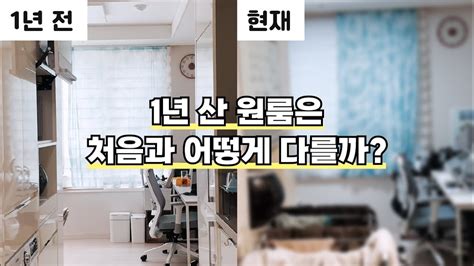 1년 살고 다시 해 보는 6평 원룸 룸투어 현실룸투어 Youtube