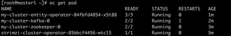 Strimzi Kafka Operator 使用记录 Take Break Some Cats and Dogs