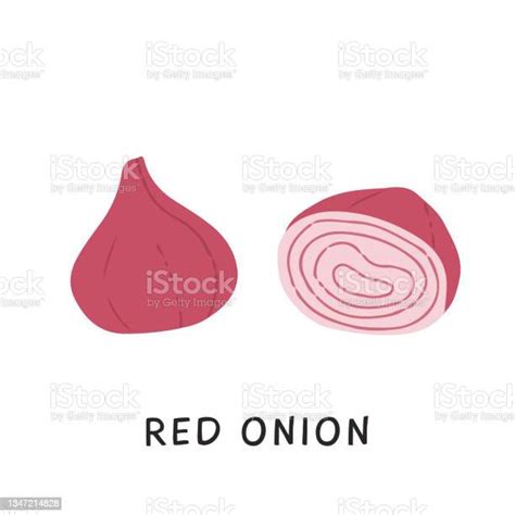 컷과 전체 빨간 양파의 플랫 스타일 요소 신선한 유기농 잘 익은 생 채소 또는 흰색 배경에 고립 된 작물을 수집했습니다 간단한 컬러 의 손으로 그린 벡터 그림 건강한