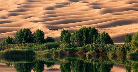 Дієприкметник 7 клас Тест на 14 запитань Українська мова