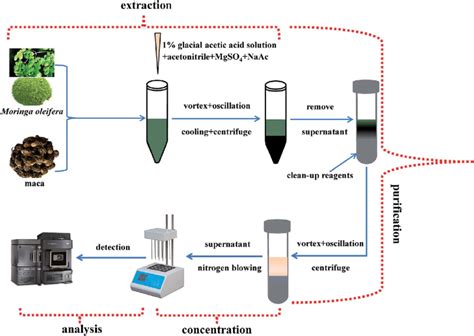 The Flowchart Of The Sample Preparation Download Scientific Diagram