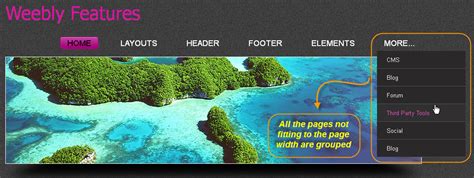 group excess pages in weebly site navigation webnots