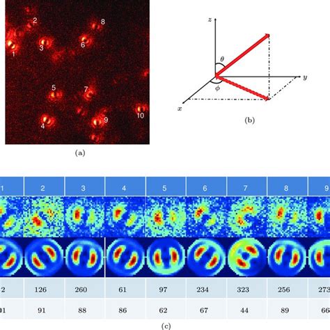 Color Online A Single Molecule Defocused Wide Field Fluorescence Download Scientific