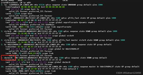 【记录】docker笔记（六）：docker网络 Bridge网络（1）docker Bridge Csdn博客