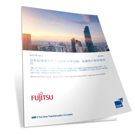 Sap系统合并解决方案 Sap Erp如何合并后整合选择sap全球合作伙伴——德国snp公司 Snpgroup