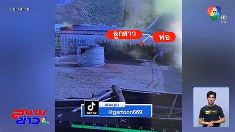 ข่าวนกกระจอกเทศวิ่งไล่เตะสาว คาดหวงตัวเมีย