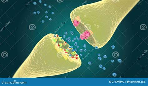 Dopaminergic Intrinsic Activity In Bipolar Depression Stock