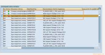 Sidadm Дополнительный язык в Sap системе и пакеты поддержки
