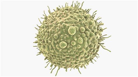 암세포 3d 모델 89 C4d Ma Fbx Obj Free3d