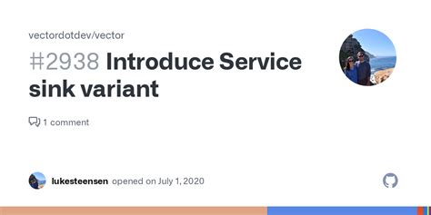 Introduce Service Sink Variant Issue Vectordotdev Vector Github
