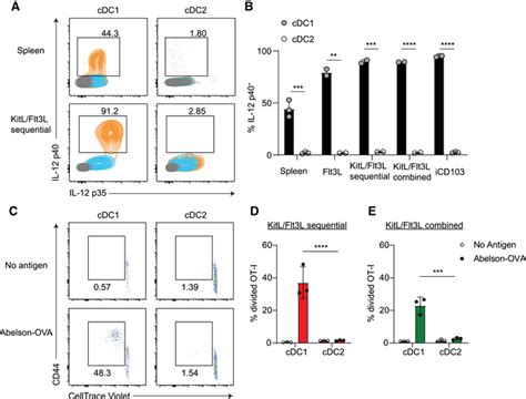 Kitlflt3l Type 1 Conventional Dc Cdc1 Can Produce Il‐12 And Can