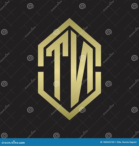 Monograma Del Logotipo De Tn Con Forma Hexagonal Y Estilo De Corte Del