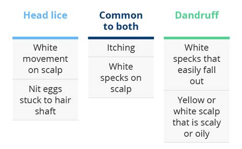Lice Vs Dandruff How Do I Tell The Difference