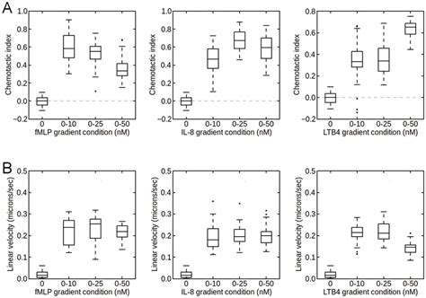 Chemotaxis In Single Attractant Gradients A Chemotactic Index In