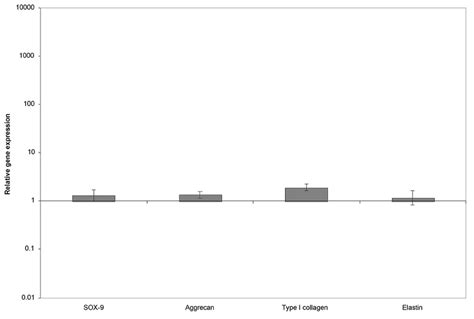 Relative Expression Of Sox 9 Aggrecan Type I Collagen And Elastin