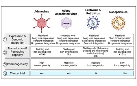 Maximizing Gene Editing Efficiency With Optimized Lnp Based Delivery Genscript