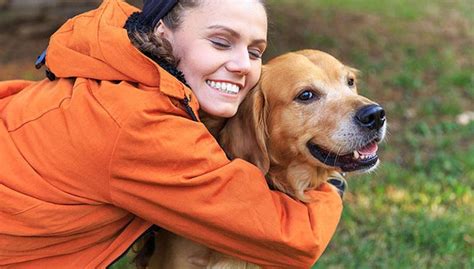4 Sure Signs Your Dog Trusts You Wyza