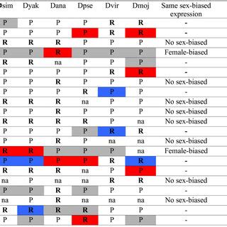 Significant Sex Biased Gene Expression Adapted From Table In Download Scientific Diagram