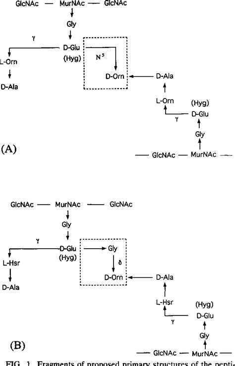 Microbacterium Luteolum Semantic Scholar